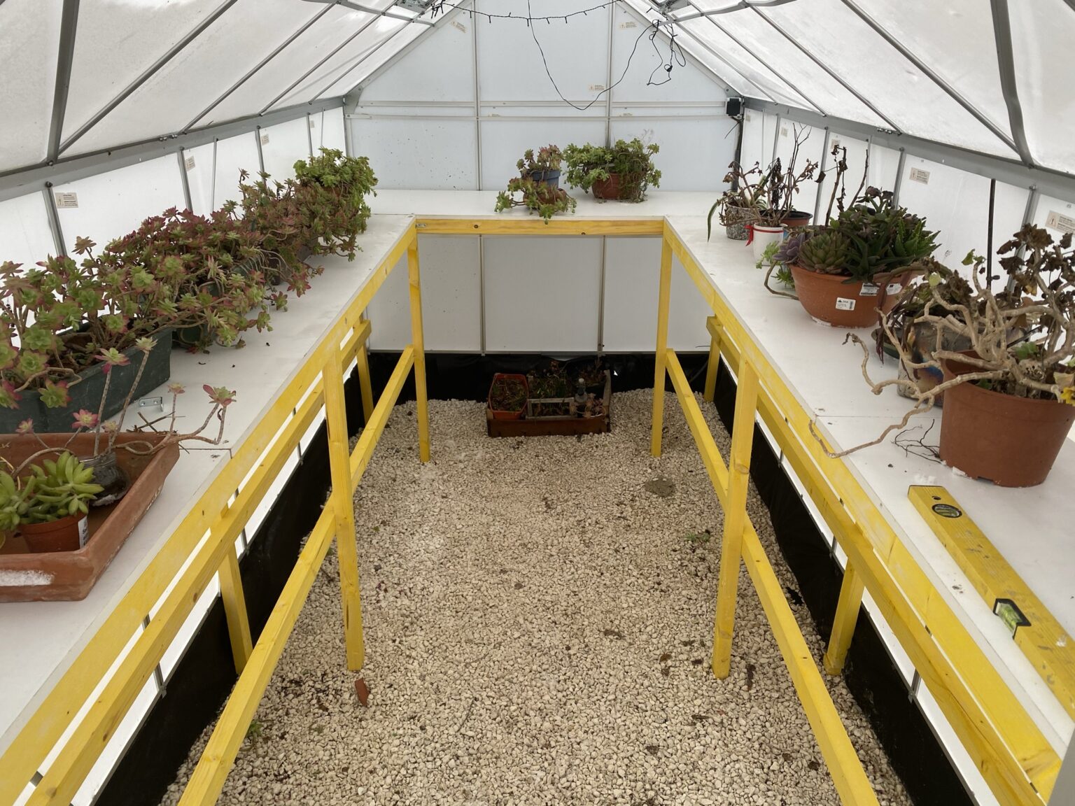 Idée de table à semis pour serre : parfait pour débuter