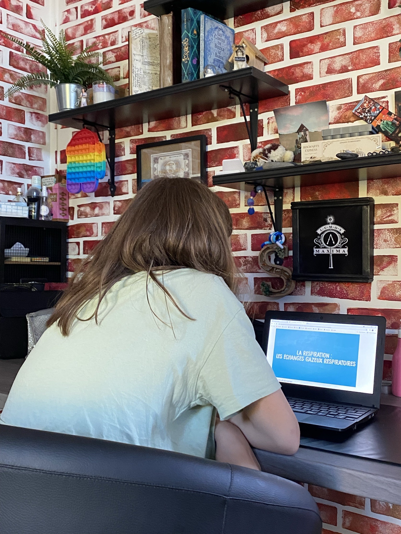 Soutien scolaire en ligne : les bons profs