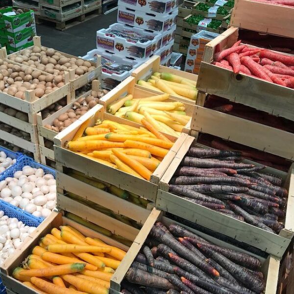 Visite du marché de Rungis